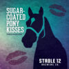 Stable 12 Brewing Co. - Craft Brewery in Phoenixville, PA